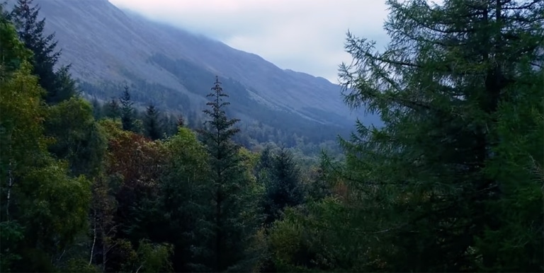 Reel Review: Jurassic Triangle - Morbidly Beautiful