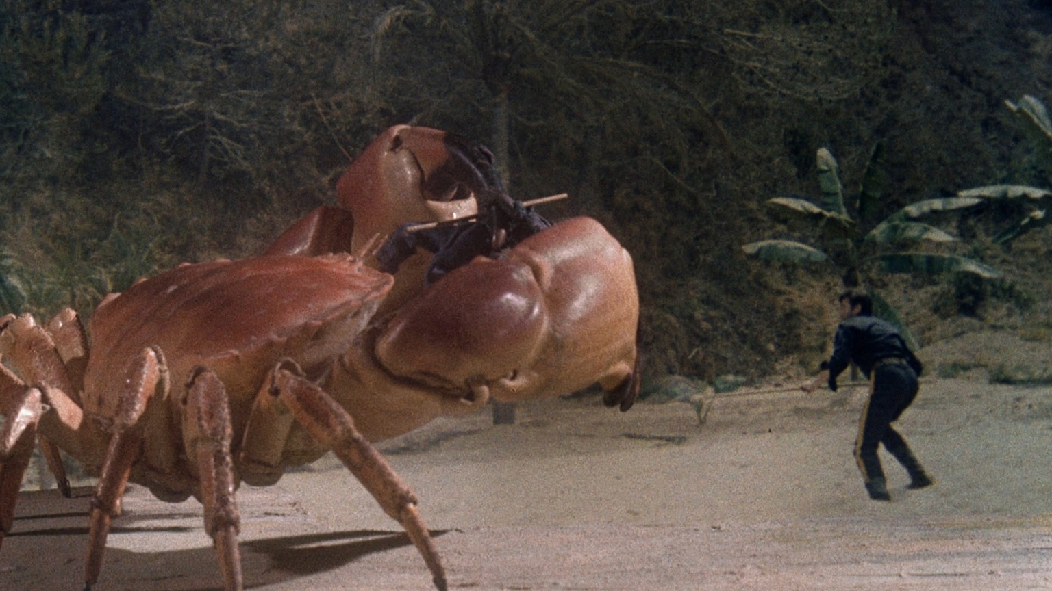 The Daily Dig: Island Claws (1980) - Morbidly Beautiful